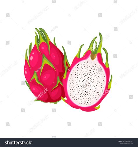 14047 Dragon Fruit Vector Stock Vectors Images And Vector Art