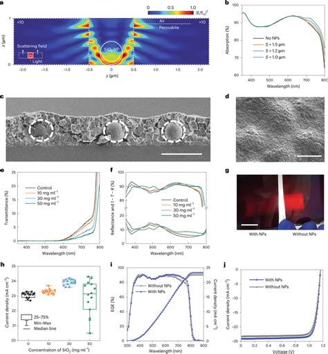 Enhancing Absorption And Photocurrent By Embedded Sio2 Nps A Intensity Download Scientific
