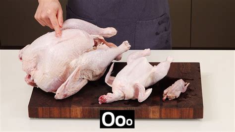 메추리를 낳은 닭을 낳은 칠면조 요리 Youtube