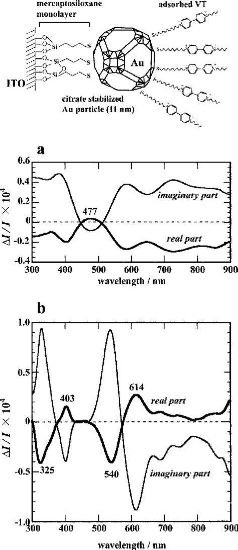 Figure 4 From Potential Modulation Spectroscopy At Solidliquid And