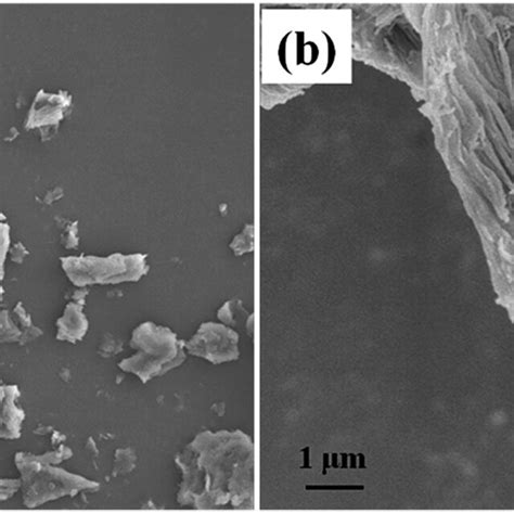 Sem Micrographs Of Du Particles Download Scientific Diagram