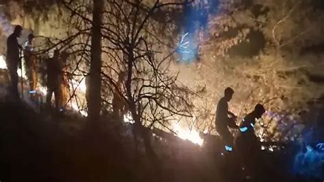 Aydında Ormanda çıkan Yangına Müdahale Ediliyor