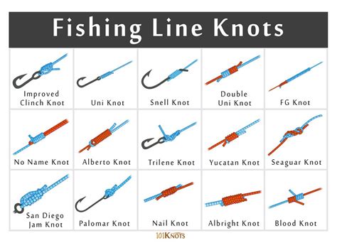 List Of Different Types Of Fishing Knots How To Tie Them Artofit