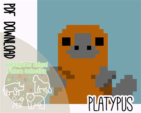 Platypus Graph And Written Pattern Etsy