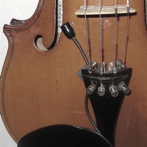 Violin Vs Fiddle