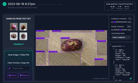 labels generated with the api have little information and roboflow