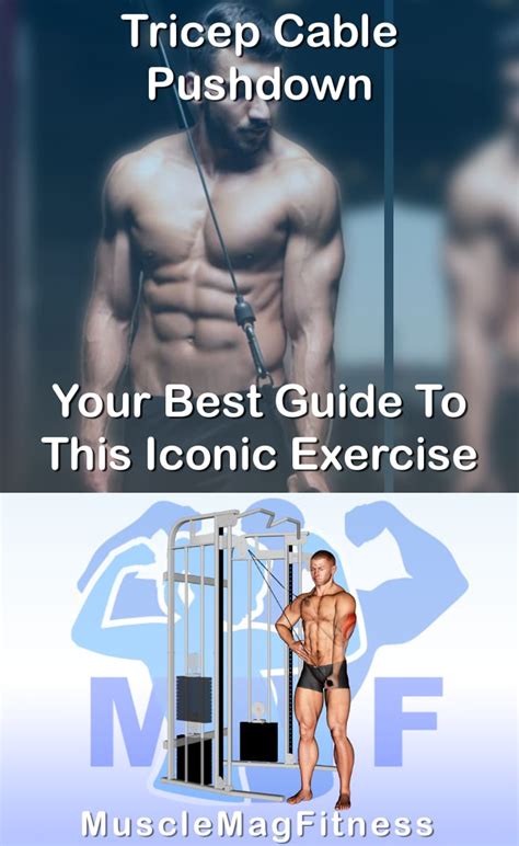 One Arm Tricep Cable Pushdown Your Best Guide To This Iconic Exercise