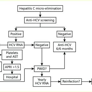 Proposed Algorithm For The Diagnosis And Treatment Of Hepatitis C Virus Download Scientific