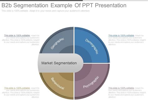 B2b Segmentation Example Of Ppt Presentation Powerpoint Templates Backgrounds Template Ppt