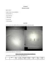 PHY Lab Report 13 Diffraction Grating 1 Docx Lab Report Diffraction