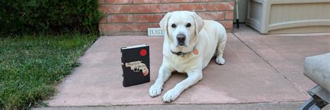 Book Review “phantom” By Jo Nesbo Tracyreaderdad Book Reviews