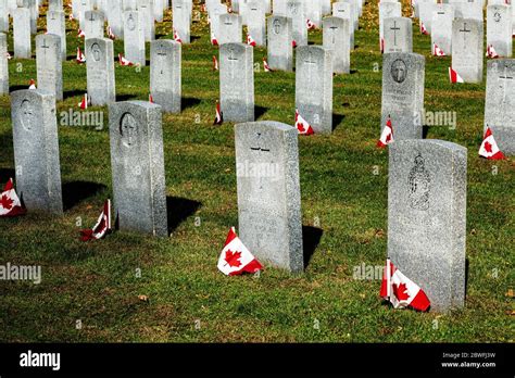 Hamilton Ontario Canada Military Cemetery With Small Canadian Flags