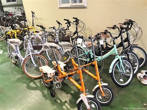 일산 자전거 할인매장 프로제이모션 종류 많고 가격 저렴해요