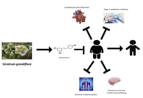 Academic Society For Functional Foods And Bioactive Compounds Asffbc On Linkedin Check Out