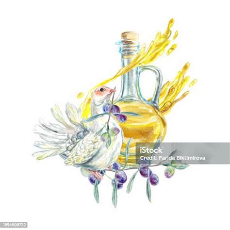 올리브 오일 올리브 가지 스플래시 비둘기 흰색 배경에 고립된 수채화 그림입니다 식품 라벨 전단지 표지 메뉴 화장품 건강한 식생활에 대한 스톡 벡터 아트 및 기타 이미지