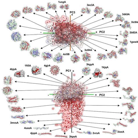 Creating A Global Map Of The Protein Shape Universe Purdue University