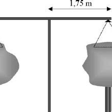 Schematic View Of The Infrared Thermal Sensor Installation Download Scientific Diagram