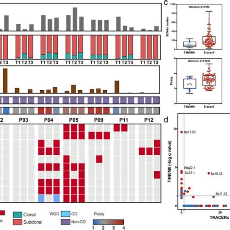 Intratumoral Heterogeneity Of Somatic Copy Number Alterations Scnas