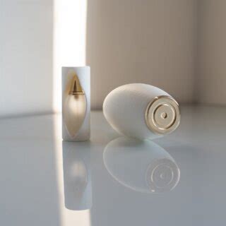 Eudaimonia Personal Genome Editing Device By The Artist Emilia Tikka