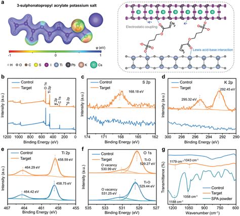 A Electrostatic Potential Mapping Of Spa Molecule And Schematic Download Scientific Diagram