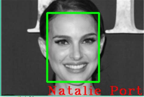 Face Recognition Using Deep Learning And Softmax Classifier Download Scientific Diagram