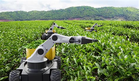 Ai In Agriculture Smart Farming And Sustainable Practices