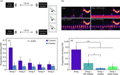 A Set Up Of The Playback Jamming Experiments See Methods For Download Scientific Diagram