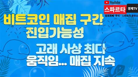 비트코인 암호화폐 가상자산 가상화폐 주식 비트코인 변동성 역대 최저 수준 매집 구간 진입가능성 고래 사상 최다 움직임 매집 지속 빨랑 사라