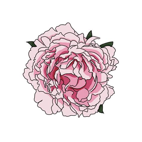 牡丹のイラスト｜01｜フリー素材 Greenstock40