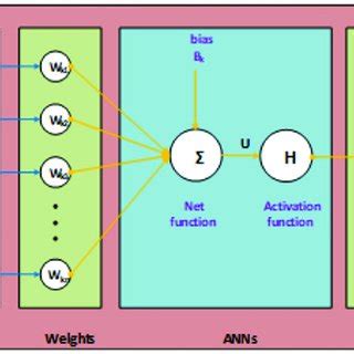 Proposed Structure For A Single Neuron Download Scientific Diagram