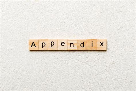 Appendix Word Written On Wood Block Appendix Text On Table Concept Stock Image Image Of