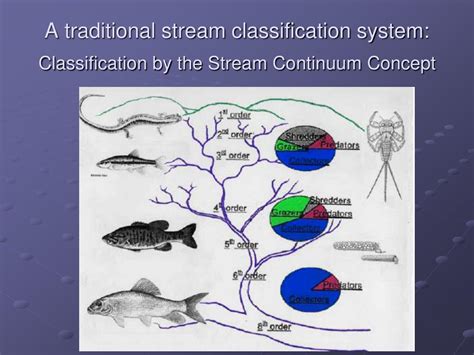 Ppt Primary Headwater Habitats Phwh Powerpoint Presentation Free