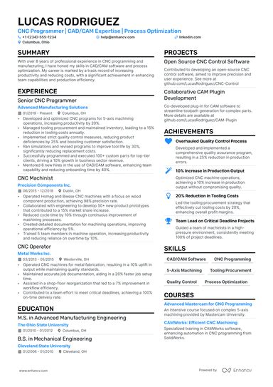 Programmer Resume Examples Guide For