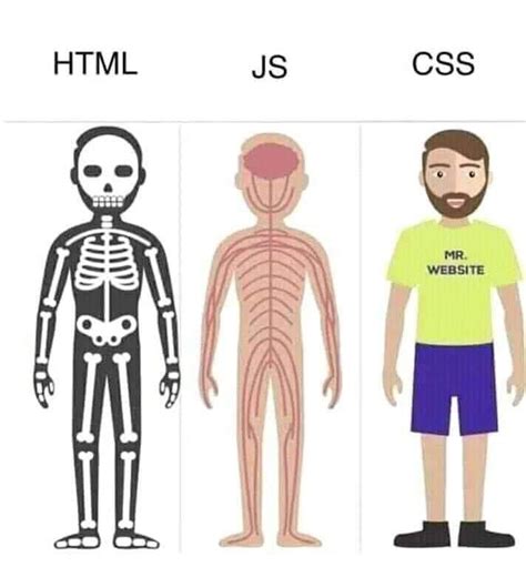 برمجه مثال بسيط لتوضيح الفرق بين Html Css Js 😃 برمجه مثال بسيط لتوضيح الفرق بين Html Css Js 😃