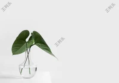 python 选什么版本的opencv 王利头