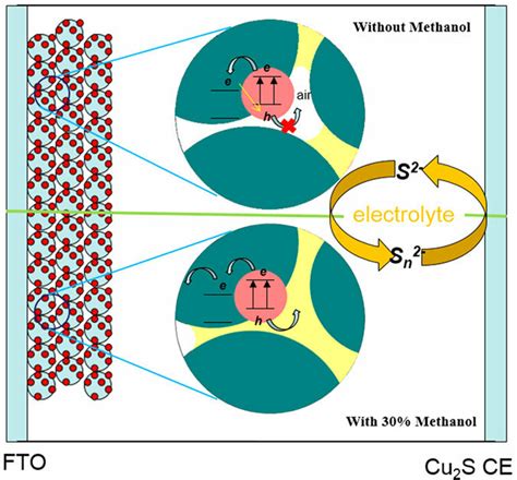 Schematic Of The Wettability And Diffusion Of Different Electrolytes Download Scientific Diagram