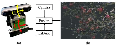 The Point Cloud From LiDAR And RGB From Camera Are Fused To Generate Download Scientific