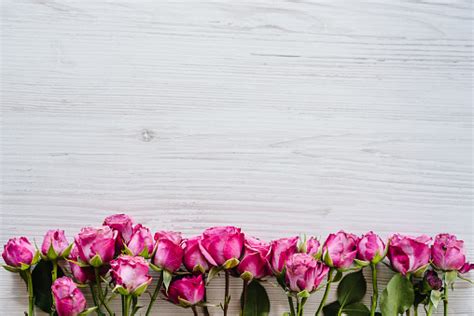 흰색 나무 배경에 분홍색 작은 장미의 행입니다 생일 축하해요 발렌타인 데이 여성의 날 부활절 휴일 인사말 카드 결혼식 초대장 상단보기 평평한 누워 문자 메시지의 공간입니다