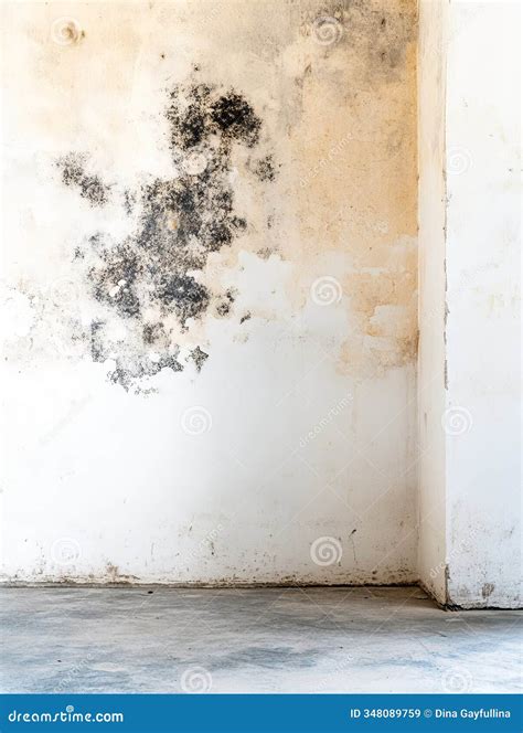 Damp Wall With Mold Growth In Empty Room Stock Illustration