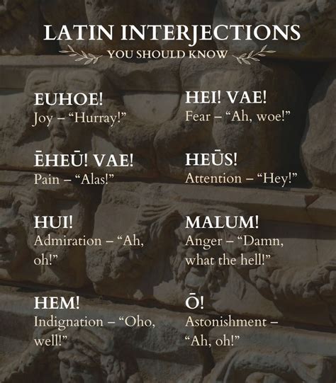 Speaking Latin Discover 200 Spoken Latin Ideas On This Pinterest Board