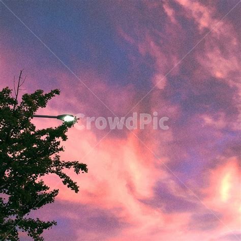 하늘 노을 분홍색 구름 가로등 사진이미지일러스트캘리그라피 Manie 마니작가