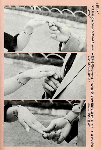 Old Babe Japanese Sex Guide Covers Holding Hands Doing The Deed And The Shadow Nucleus