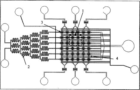 Microfluidic Cell Array Chip For High Throughput Medicament Screening