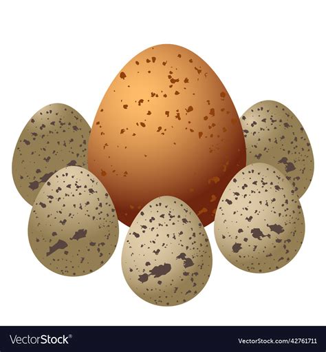Quail Eggs And A Chicken Egg Brown With Spots Vector Image