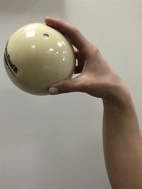 Dart Throwing Motion With Lb Medicine Ball Download Scientific Diagram