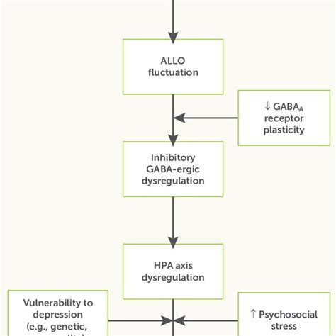 Pdf Ovarian Hormone Fluctuation Neurosteroids And Hpa Axis Dysregulation In Perimenopausal
