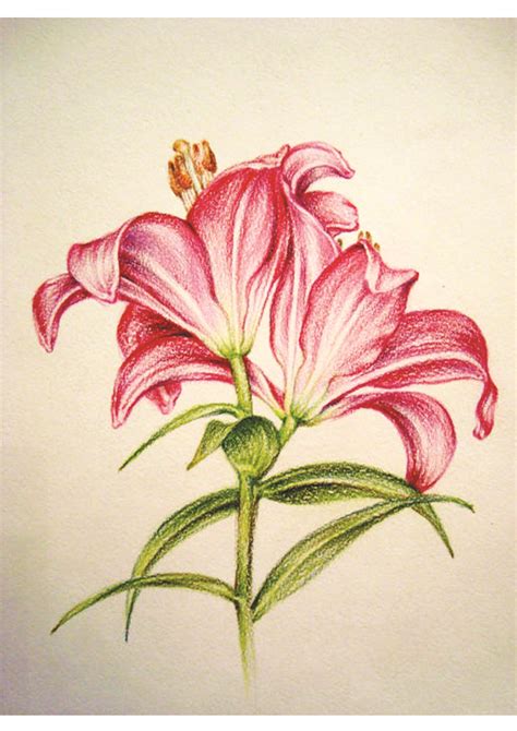 Цветы красивейшие создания природы Люди всегда стремились воспроизвести красоту… Цветочное