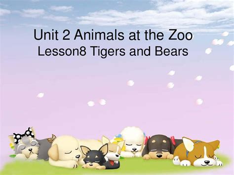 三年级下册英语课件 Unit 2 Lesson 8 Tigers And Bears 冀教版word文档免费下载亿佰文档网