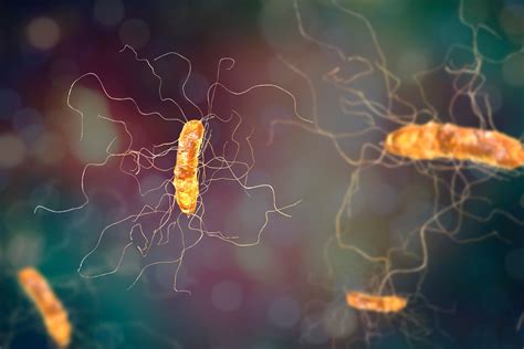 Which C Diff Treatment Is The Most Cost Effective