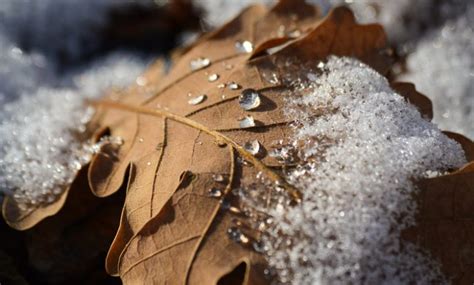 ПОДГОТВЕТЕ СЕ Доаѓаат студени утра еве какво време нè очекува за викендот